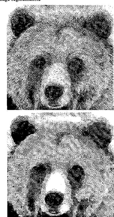 Edge Preserving Image Smoothing On Self Avoiding Random Walk Semantic