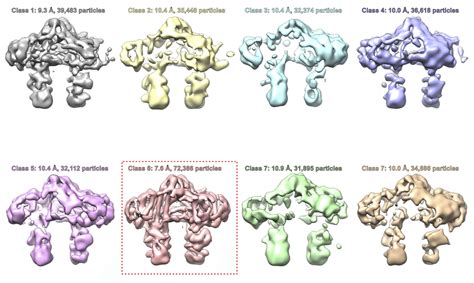 fig s3 analysis of heterogeneity by 3d classification the eight download scientific diagram