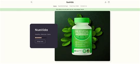 Trynuevida Rese As Informe De Escaneo
