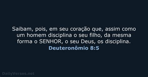 9 Versículos da Bíblia sobre Disciplina NVI DailyVerses net