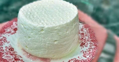 Aprenda A Fazer Queijo Fresco Caseiro Barato E Delicioso