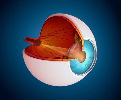 A Maneira Mais F Cil De Desenhar Olhos Design Culture