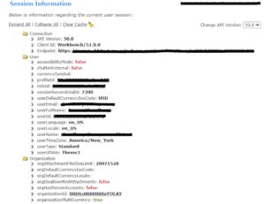 Introduction To Workbench In Salesforce