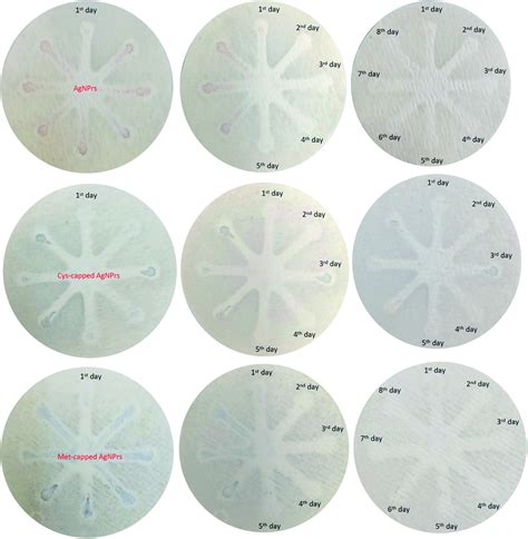Colorimetric And Naked Eye Detection Of Arsenic Iii Using A Paper