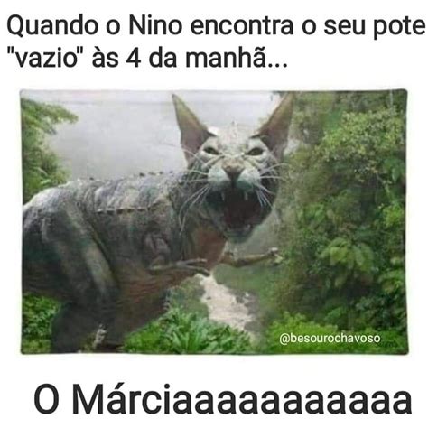 87 memes engraçados para alegrar a sua semana
