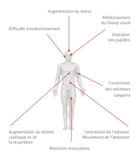 Les Risques Du Bruit Au Travail Protac By Prodways