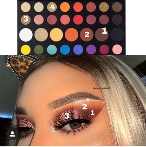 Pin By Sienna Jackson On Makeup Morphe Shimmer Eye Makeup Makeup
