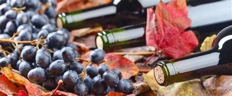 coldiretti Natura qualità ripresa sardegna vendemmia vino Fruit