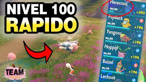 Cómo SUBIR AL NIVEL 100 RÁPIDO en Pokémon Escarlata y Púrpura YouTube