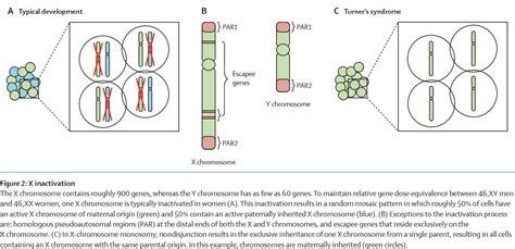 48xxyy Syndrome Semantic Scholar