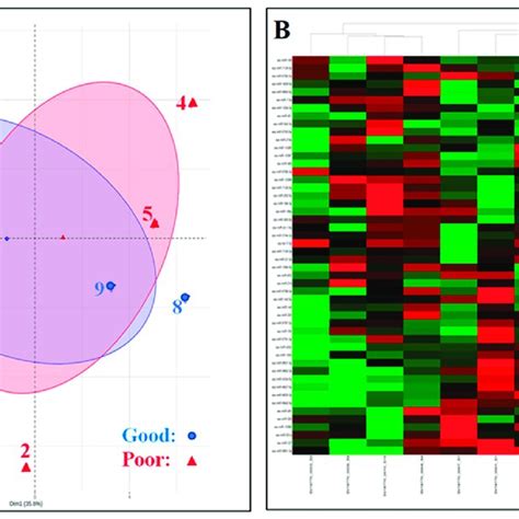 Principal Component Analysis Pca Plot A And Heat Map With