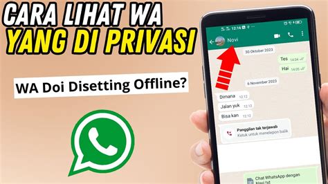 Cara Melihat WA Online Yang Disembunyikan Kamu Tau Kalau Dia Lagi