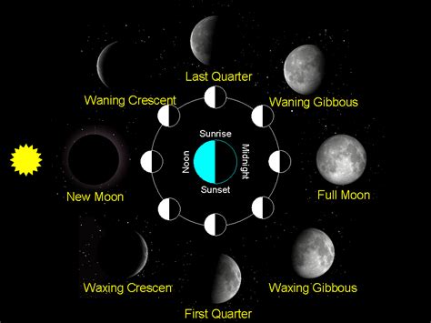 Diagram Phases Of The Moon