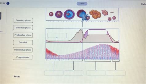 solved click and drag each label to accurately identify the