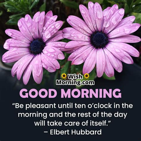 Inspirational Good Morning Quotes Wish Morning