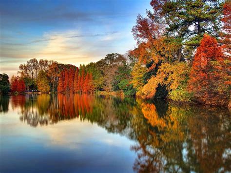 Haut 84 images forêt fond d écran automne fr thptnganamst edu vn