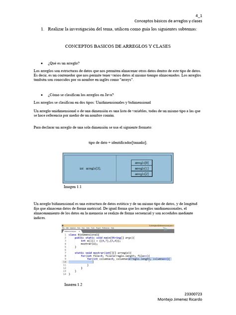investigacion pdf objeto informática clase programación informática