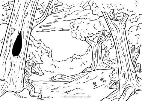 Ausmalbilder Wald Kostenlos Herunterladen Und Ausmalen