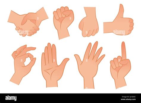 Hand Gestures Flat Vector Illustration Set Handshake Fist Thumb Up