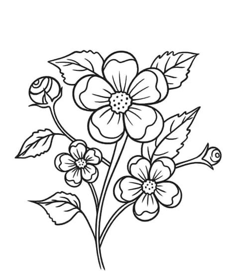 Coloriage Fleur et Feuilles télécharger et imprimer gratuit sur
