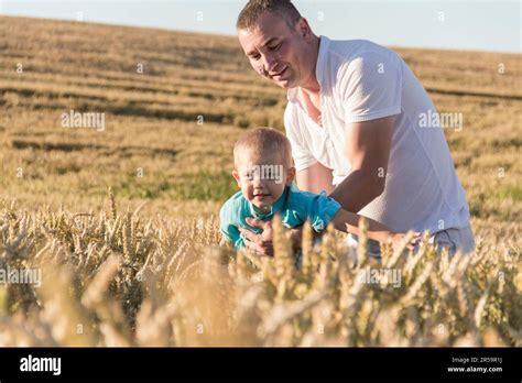 Papa et son petit fils s amusent à marcher dans un champ de blé mûr