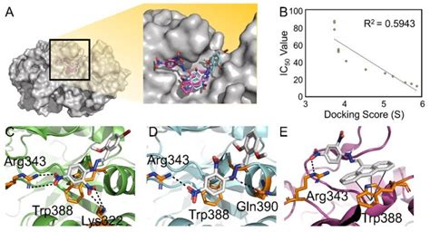 the pli protein ligand interaction profiles with alphaamylase enzyme download scientific
