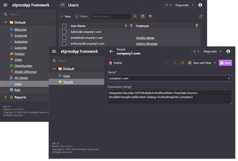Net Ui Devexpress Xaf V Net Aabbbaby