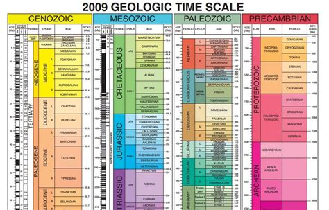 Biolog A Y Geolog A De Bachillerato C Mo Se Divide El Tiempo