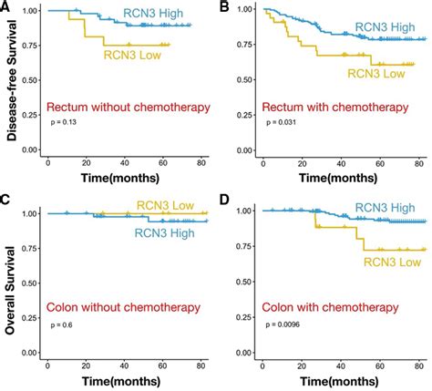 ONCOLOGIE Free Full Text RCN3 Expression Indicates Prognosis In