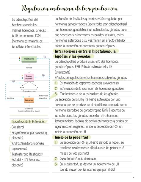 SOLUTION Regulación endocrina de la reproducción y patologías Studypool