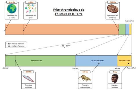 ÉVOLUTION DU VIVANT S V T Diderot
