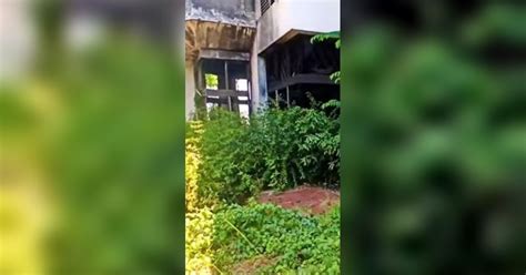 Ada Kisah Kelam Di Balik Rumah Mewah Milik Miliarder Yang Terbengkalai