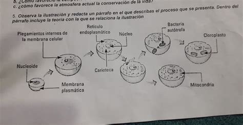 5 Observa la ilustración y redacta un párrafo en el que describas el