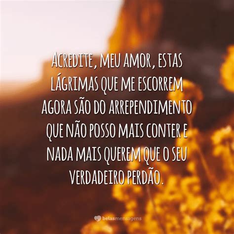 Mensagens De Desculpas Para Namorado Que V O Fazer Ele Te Perdoar