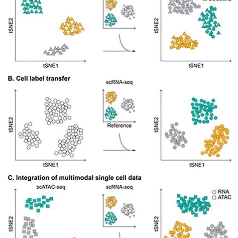 pdf computational methods for the integrative analysis of single cell data