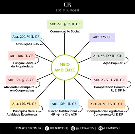 Mapa Mental Meio Ambiente Study Maps