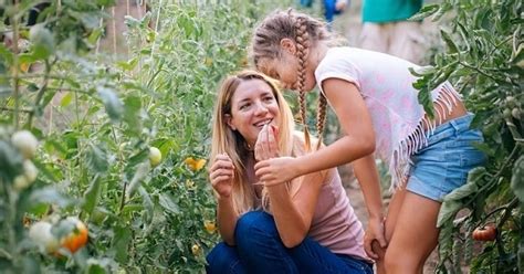 Concours National Des Jardins Potagers 2023 Cest Le Bon Moment Pour