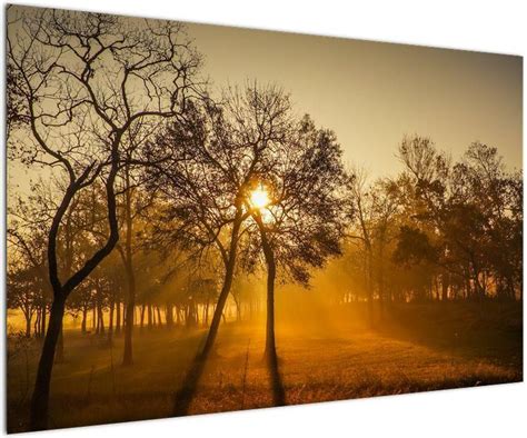 Domali Obraz Wschód Słońca Jednoczęściowy 120X80 Cm 75163 Opinie i