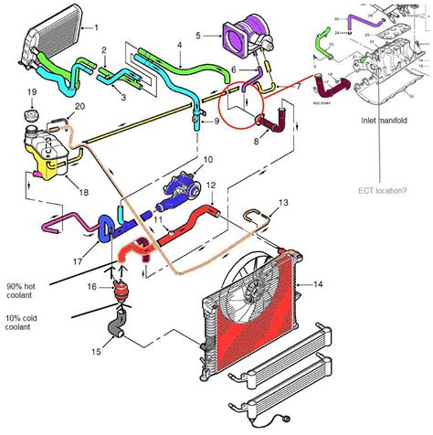 Understanding LT1 Cooling System With Coolant Flow Diagram