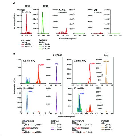 validation of key nif and ntr peptides retention time specific lc ms download scientific