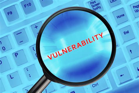what are the 4 main types of vulnerability