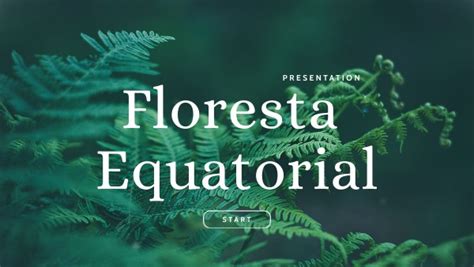 Floresta Equatorial