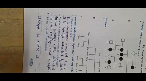 Pract Std To Study The Prepared Pedigree Charts Of Genetic