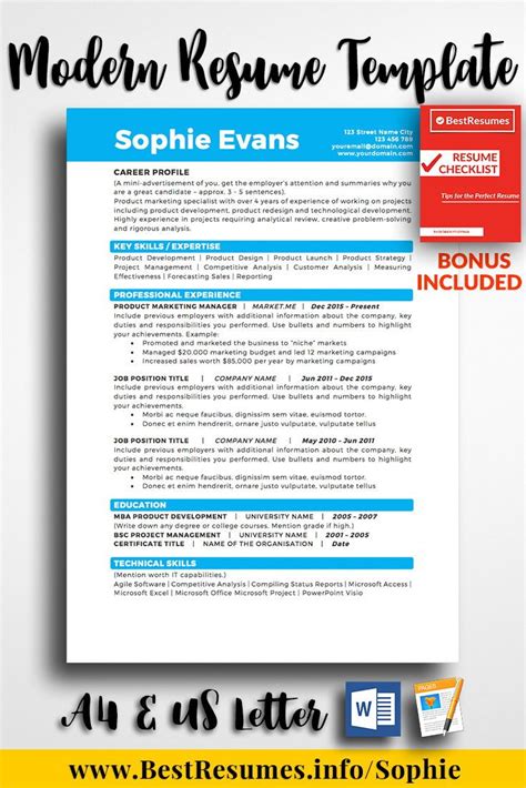Professional Resume CV Templates BestResumes Co One Page Resume