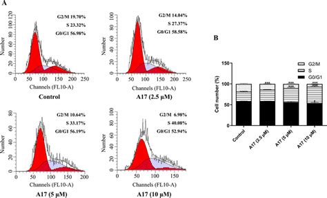 Effects Of A17 On Cell Cycle Distribution Of HSC 2 Cells A Cell Cycle