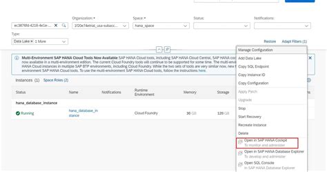 How To Manage Roles And Privileges For Users In Sap Hana Cloud