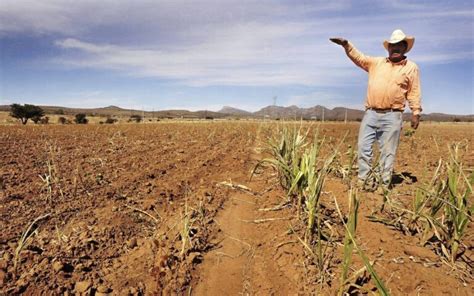 Como Afecta El Clima A La Agricultura El Clima Y Su Impacto En La