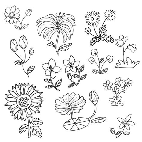 Desenhos De Flores Para Colorir