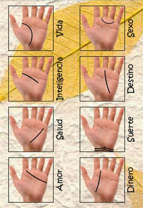 El Significado De Las Lineas De Las Manos Nueva Mentes Lectura De