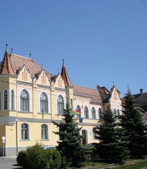 Din Judet Punctul de vedere al APM Alba privind tăierea unor brazi